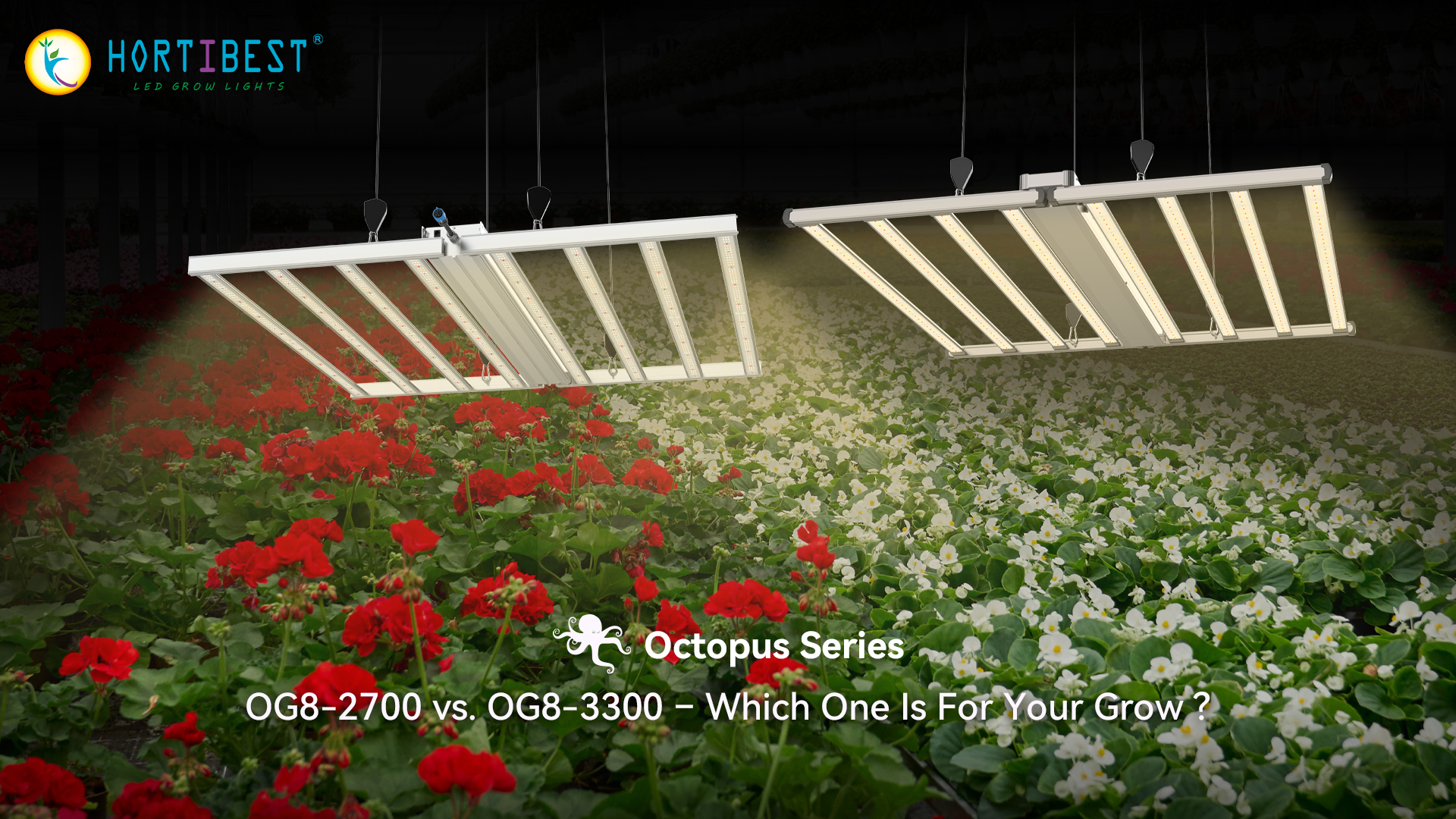 Hortibest's Octopus OG8-2700 vs. OG8-3300: Which Light Really Brings ...